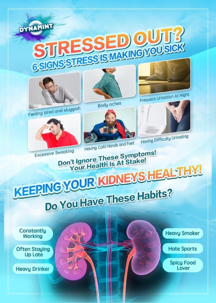 Dynamint 冷糖 Candy Men Supplement 男人保健品 – Dynamint2u